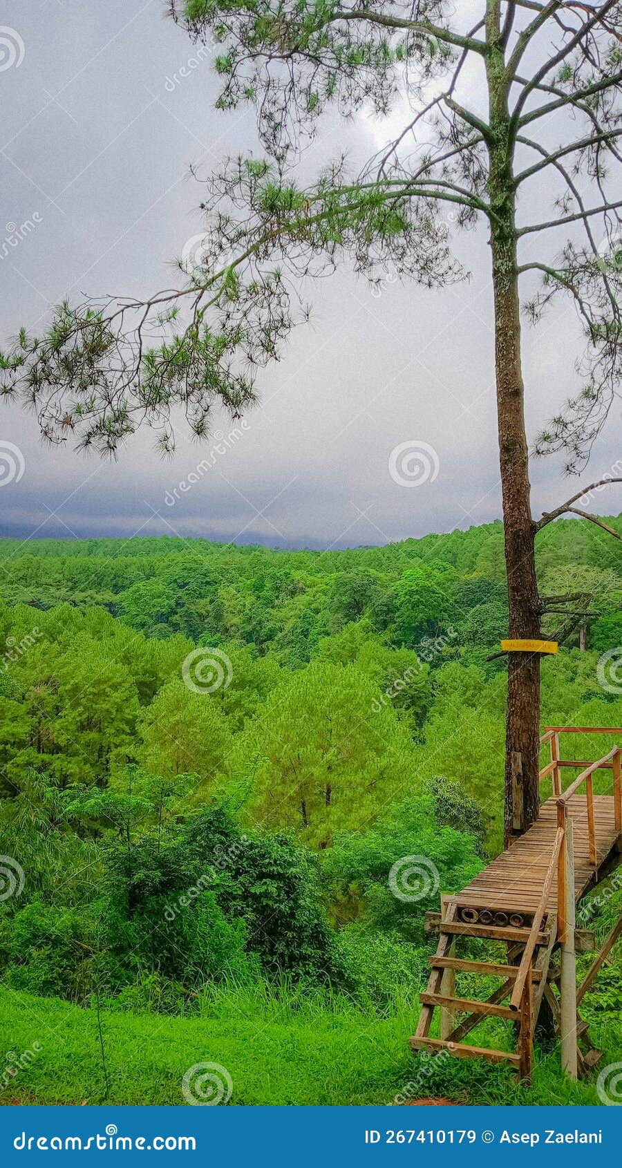 Green Scenery in West Java Indonesia Stock Image - Image of indonesia ...