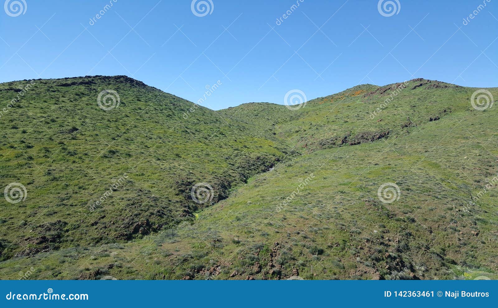 Green Scenic Hillside in California Stock Image - Image of adventure ...