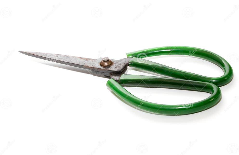 Green Scissors Isolated on a White Background Stock Image - Image of ...