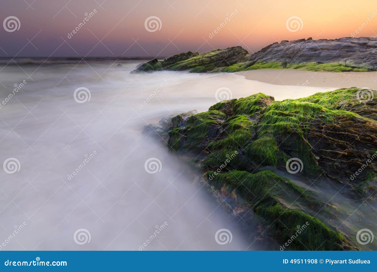 Green sea moss on stone stock photo. Image of landscape - 49511908