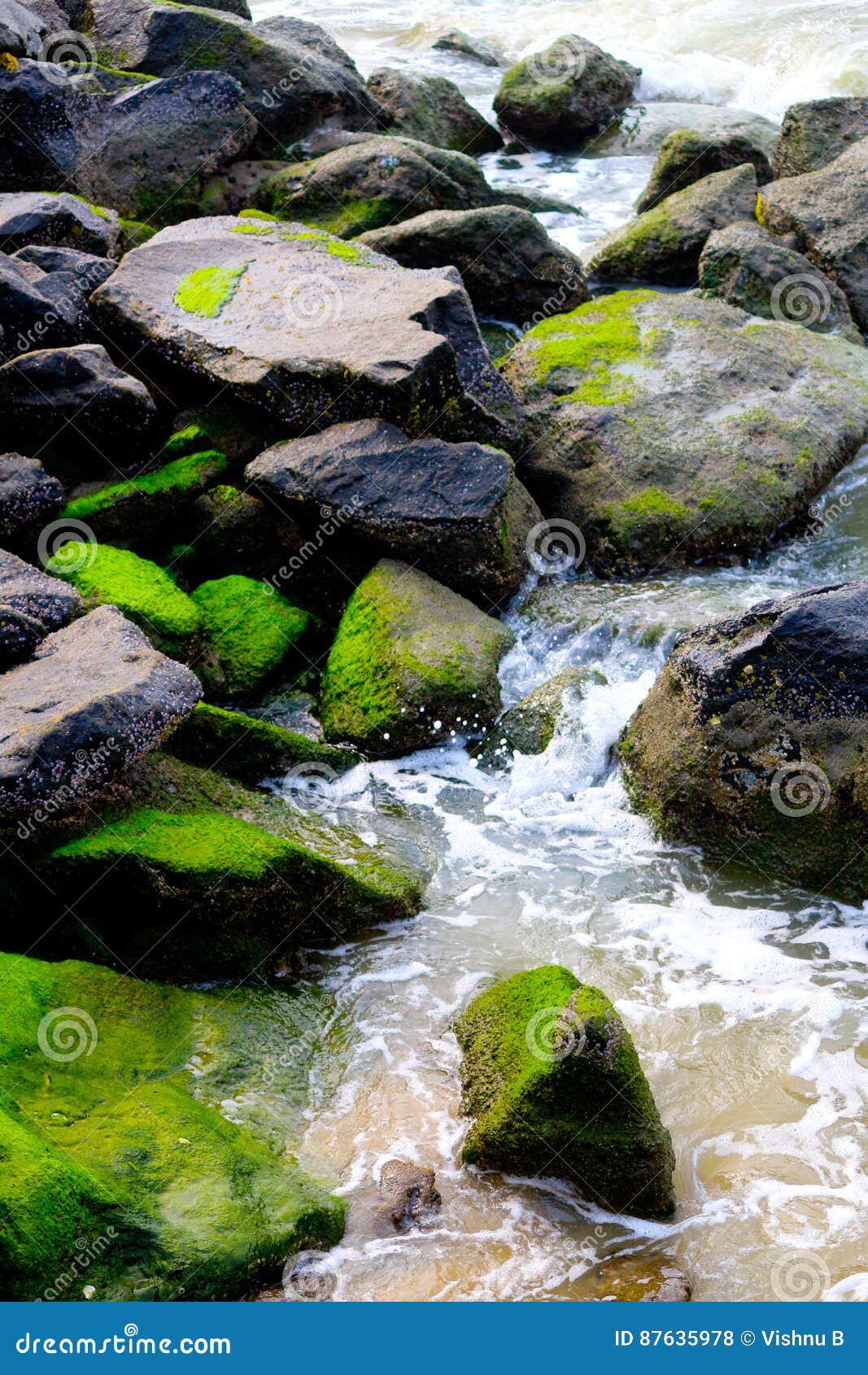 Green sea stock photo. Image of green, beach, kerala - 87635978