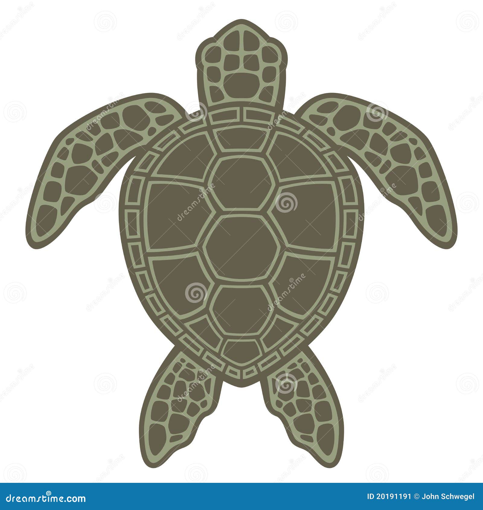 Green Sea Turtle stock vector. Illustration of animal - 20191191