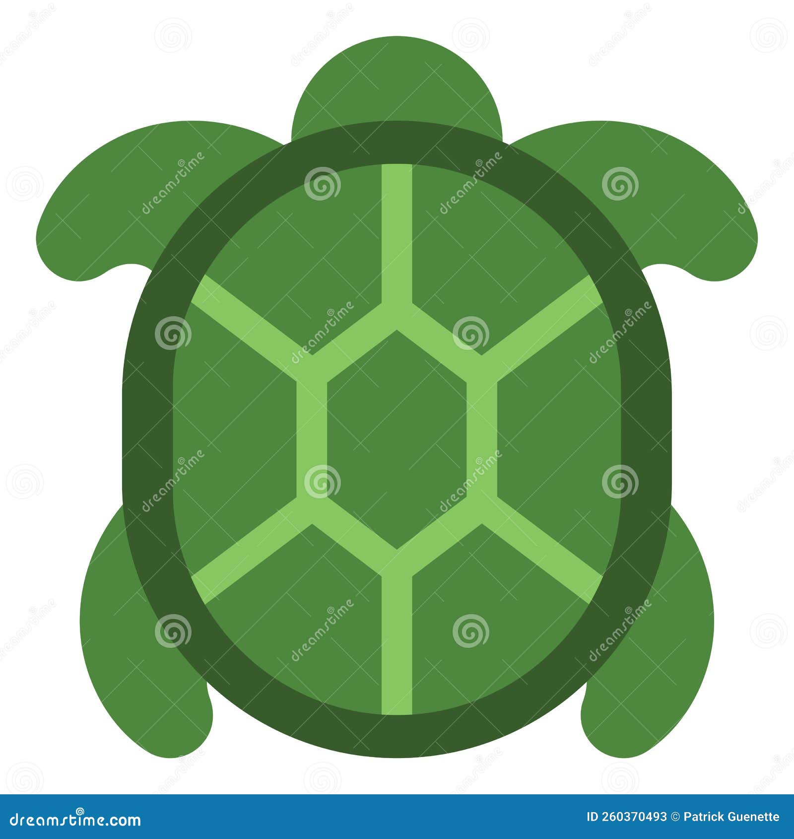 Green sea turtle, icon stock vector. Illustration of white - 260370493
