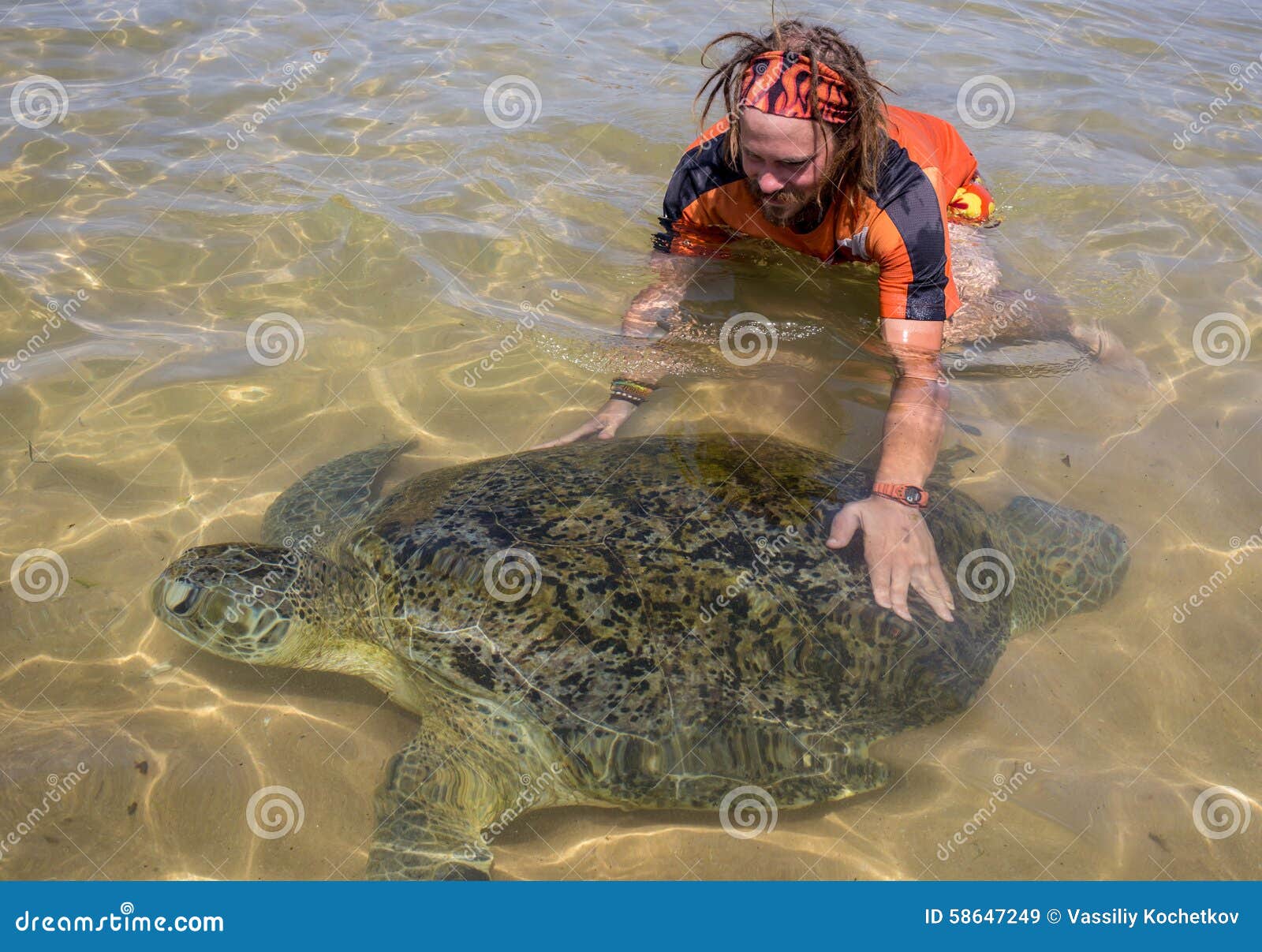 Green Sea Turtle and man stock image. Image of philippines - 58647249