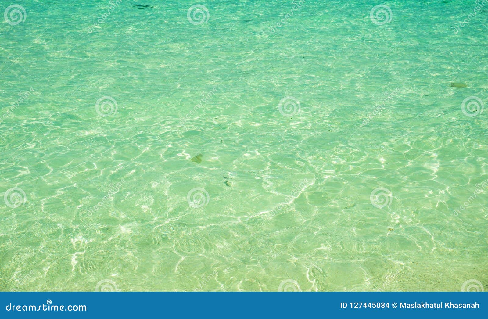 Green Sea with Water Wave Ripple in Central Java Karimun Jawa Stock ...