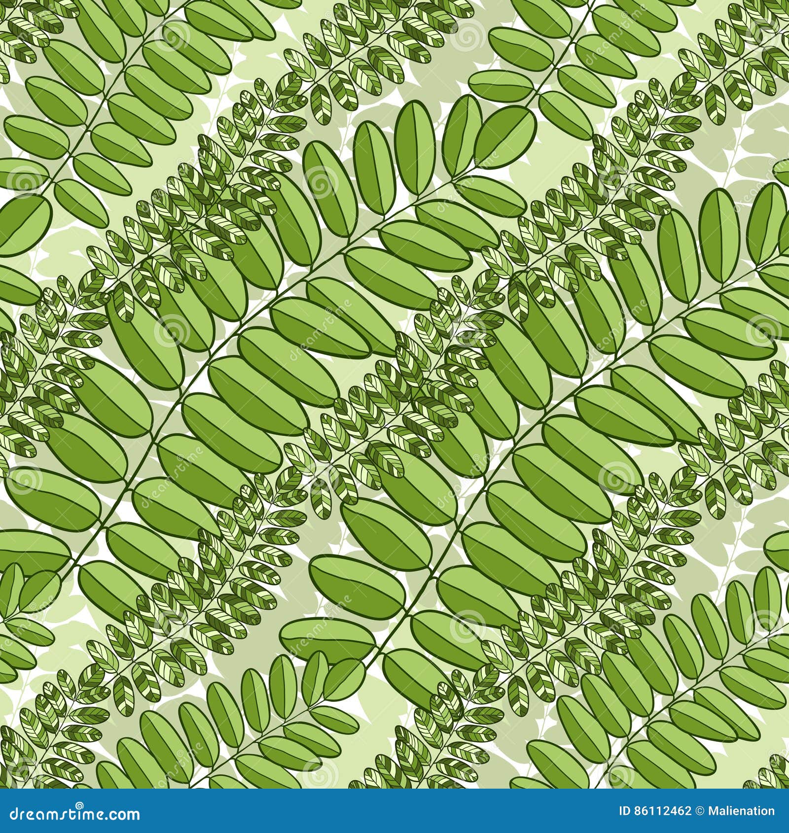 Green Seamless Pattern with Acacia Leaves. Spring Vector Background for ...