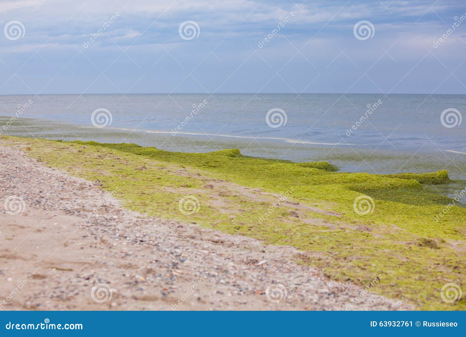 Green seaside stock image. Image of landscape, algae - 63932761