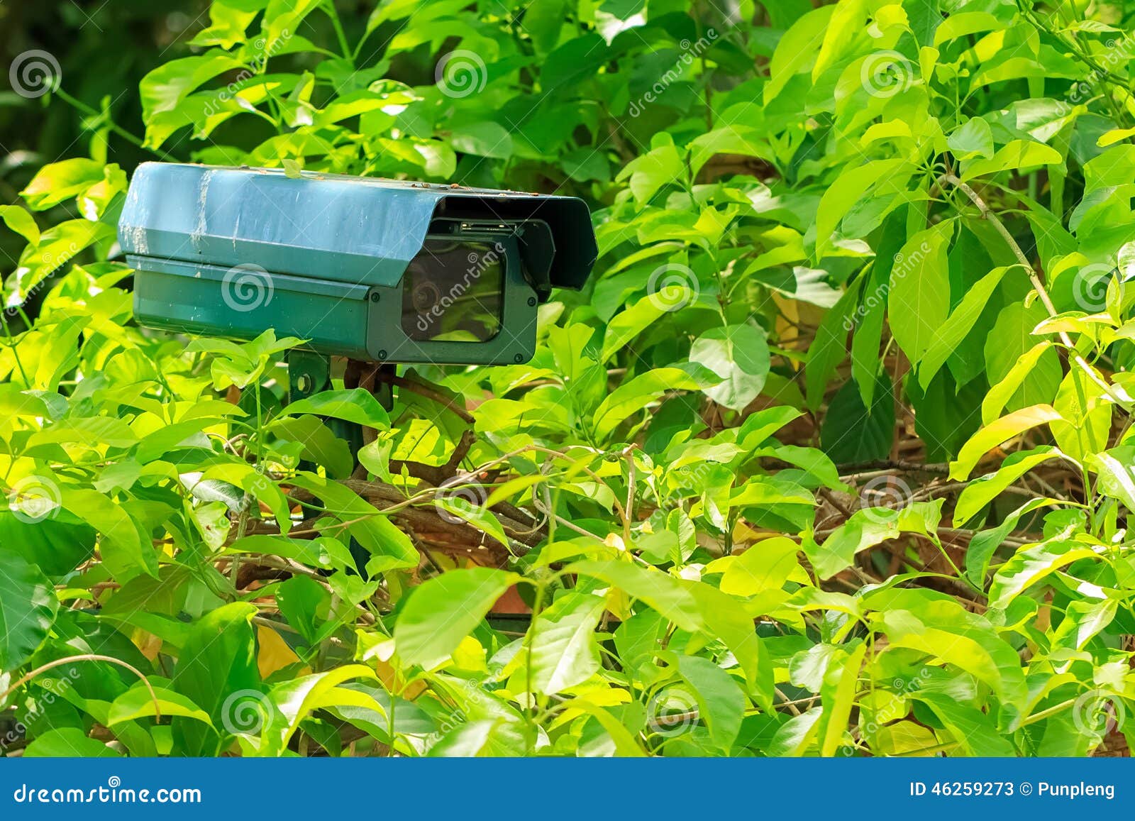 4,917 Green Security Camera Stock Photos - Free & Royalty-Free Stock ...