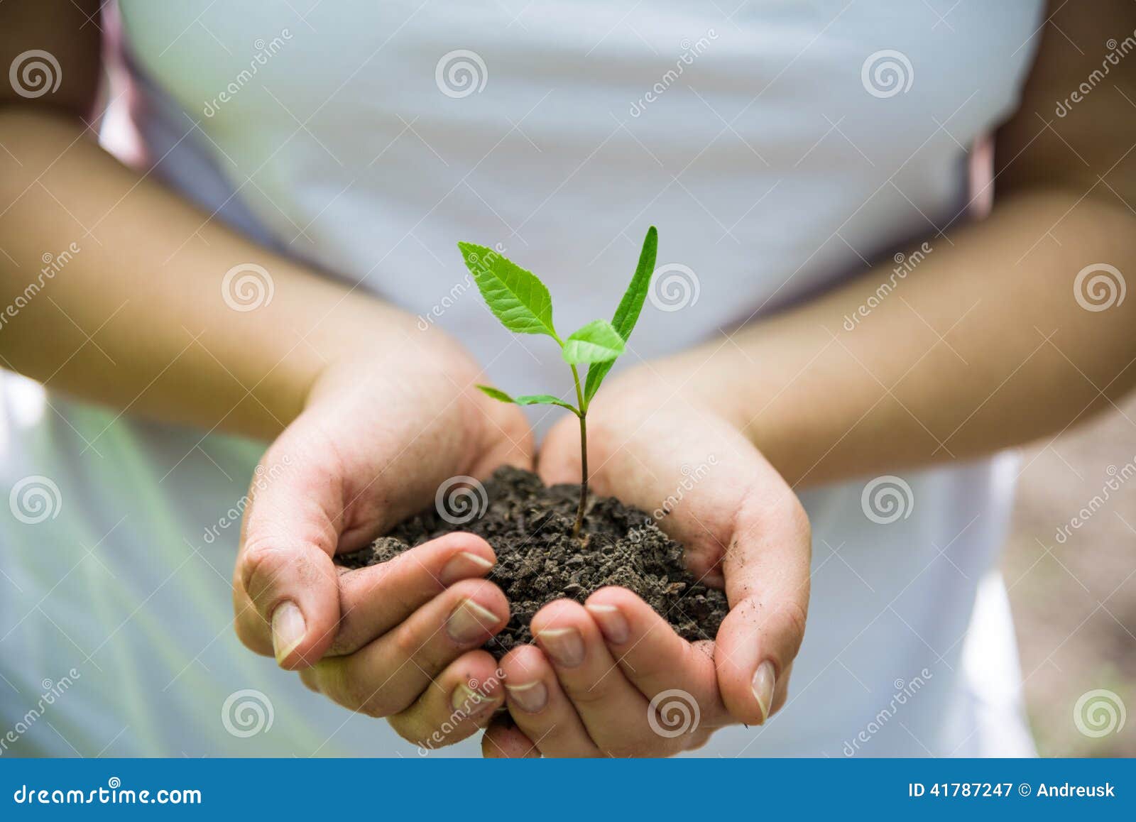 Green seedling stock image. Image of environment, seedling - 41787247