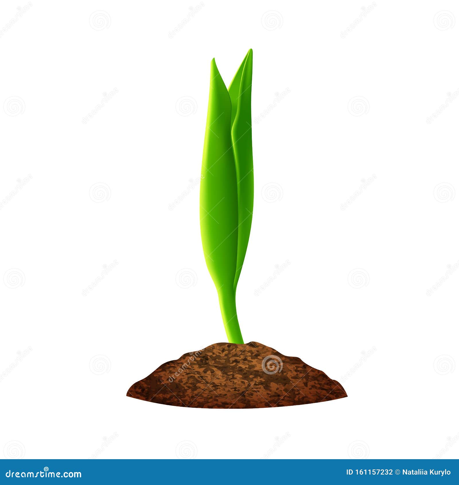 Sprout Young Seedling In Black Bag.Lime Tree Seedling Vector Isolated ...