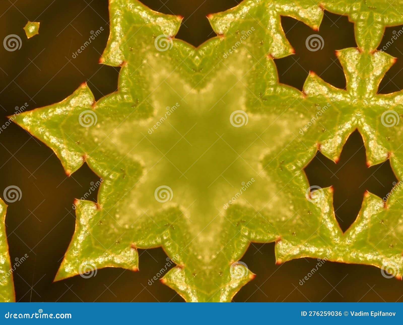 A Green Seven-pointed Star Similar To a Snowflake on a Brown Background ...