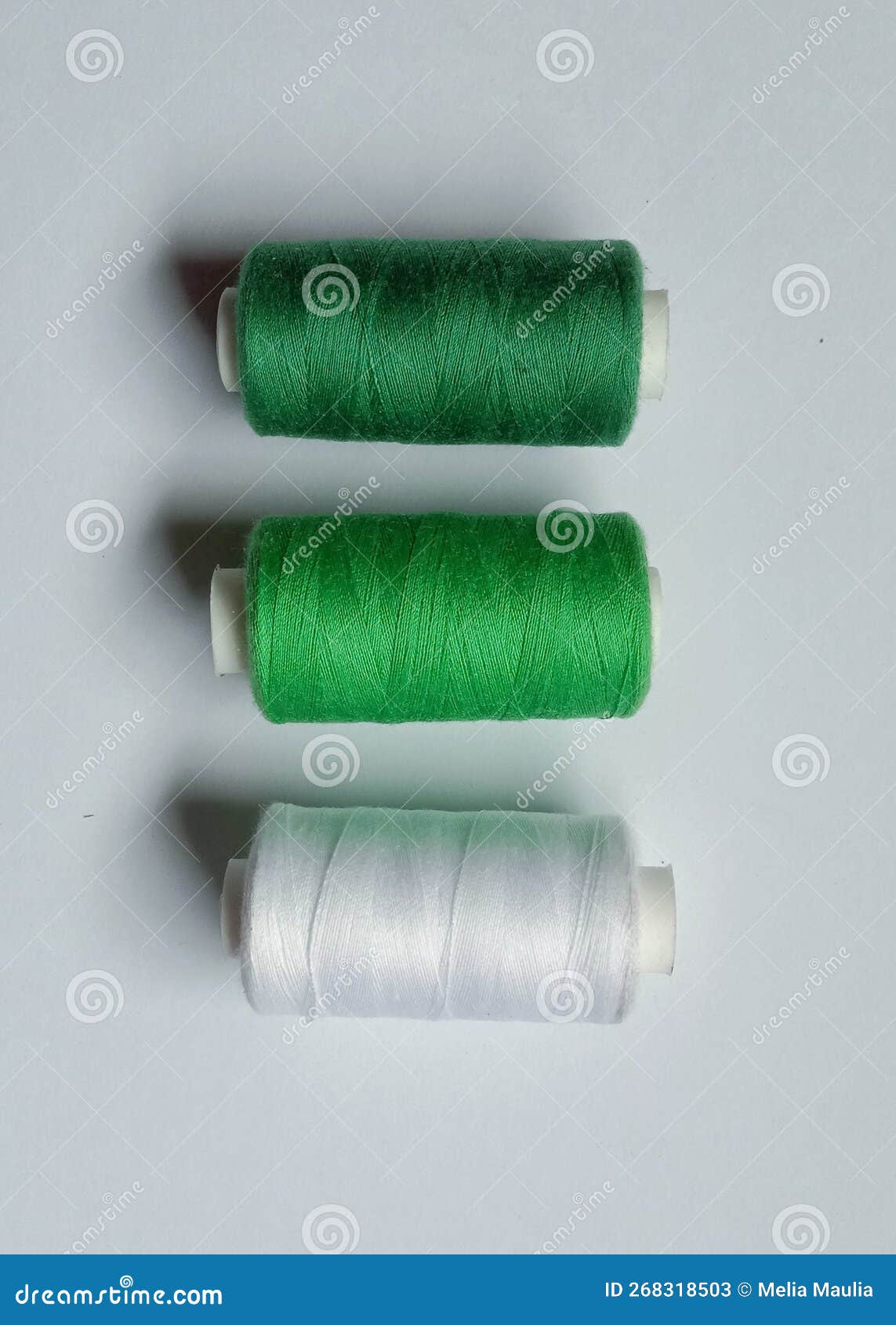 Green Sewing Thread Arranged in Gradations Stock Image - Image of ...
