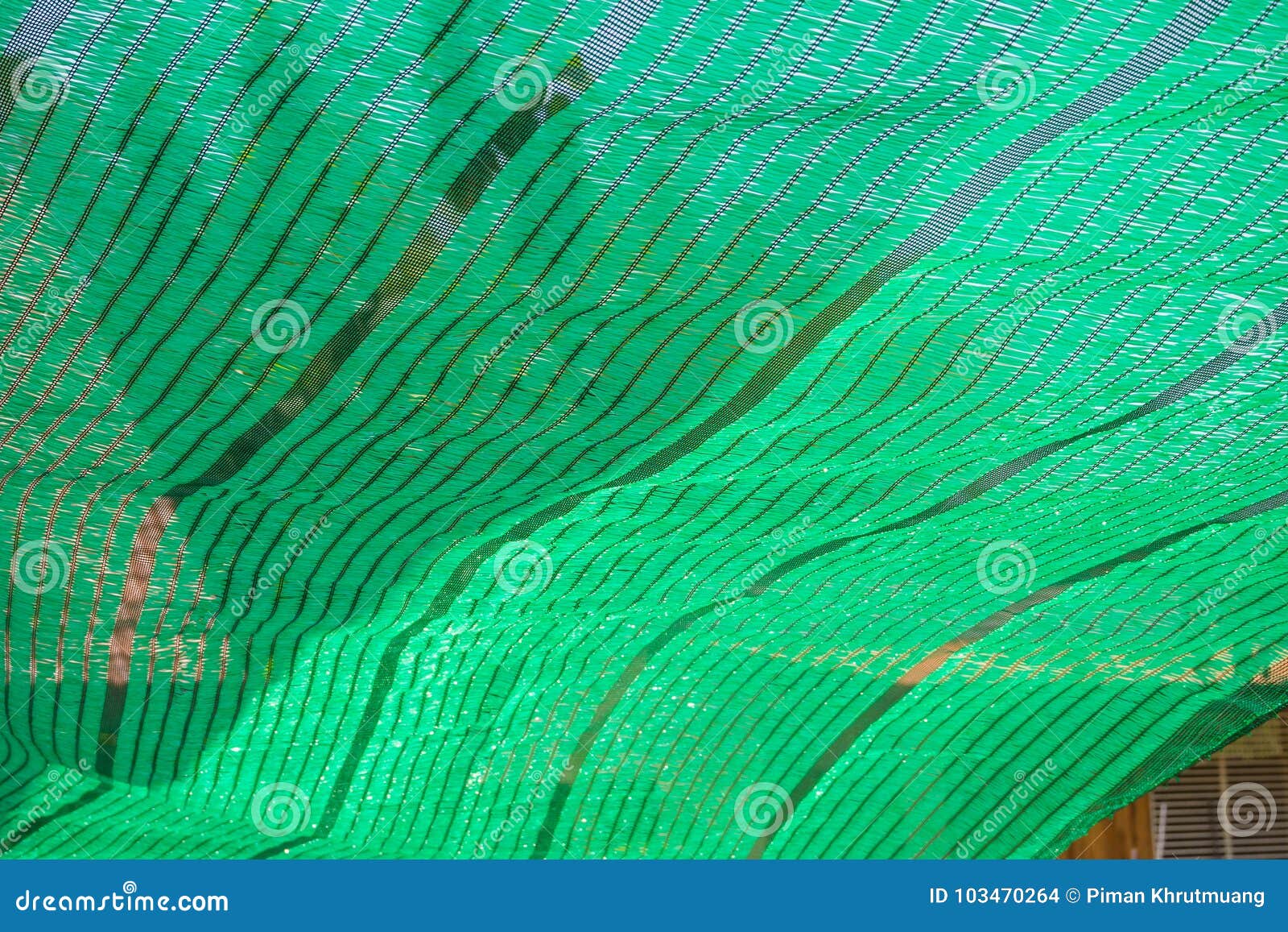 Green Shading Net stock photo. Image of black, color - 103470264