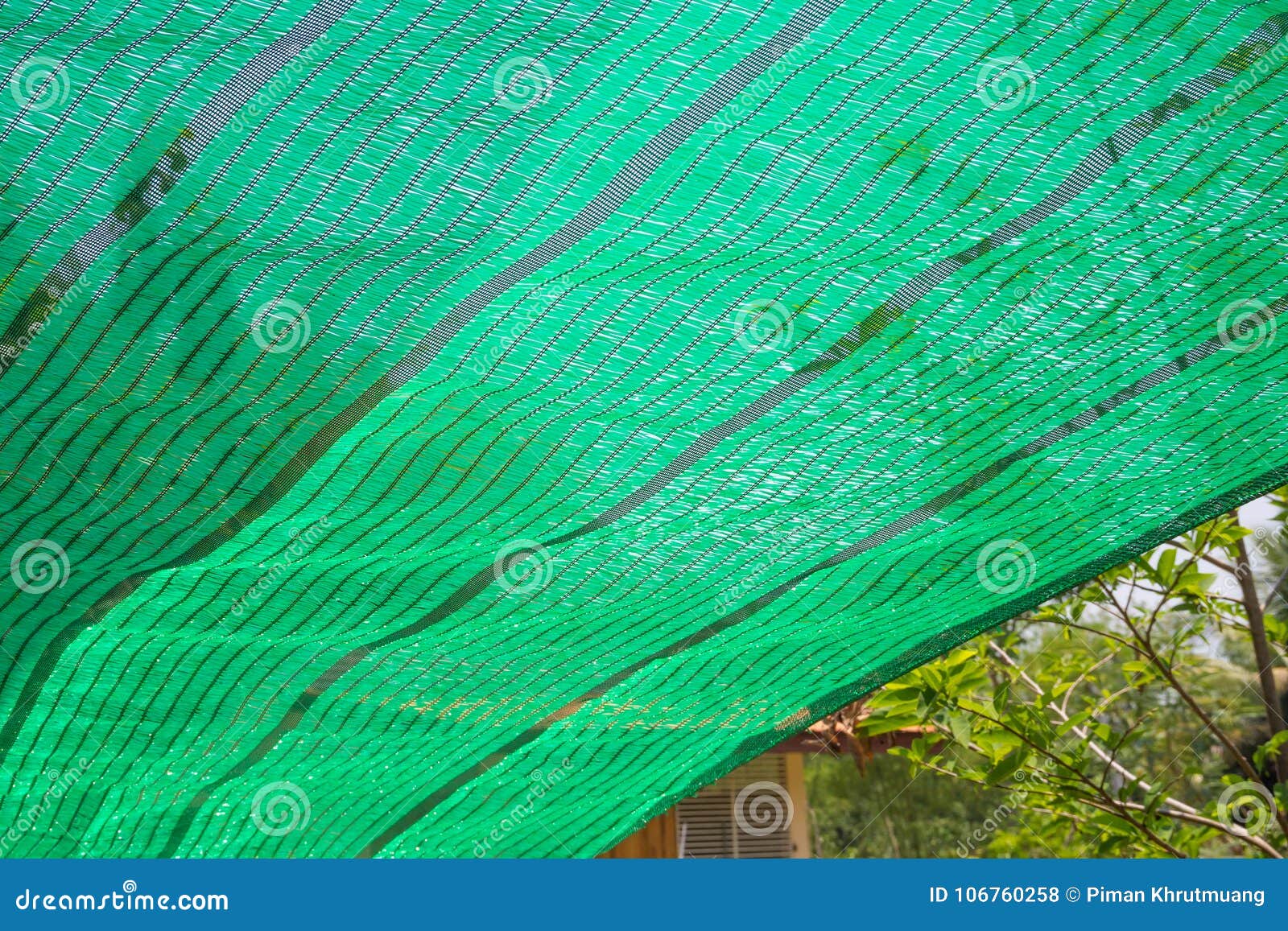 Green Shading Net stock photo. Image of backdrop, fabric - 106760258
