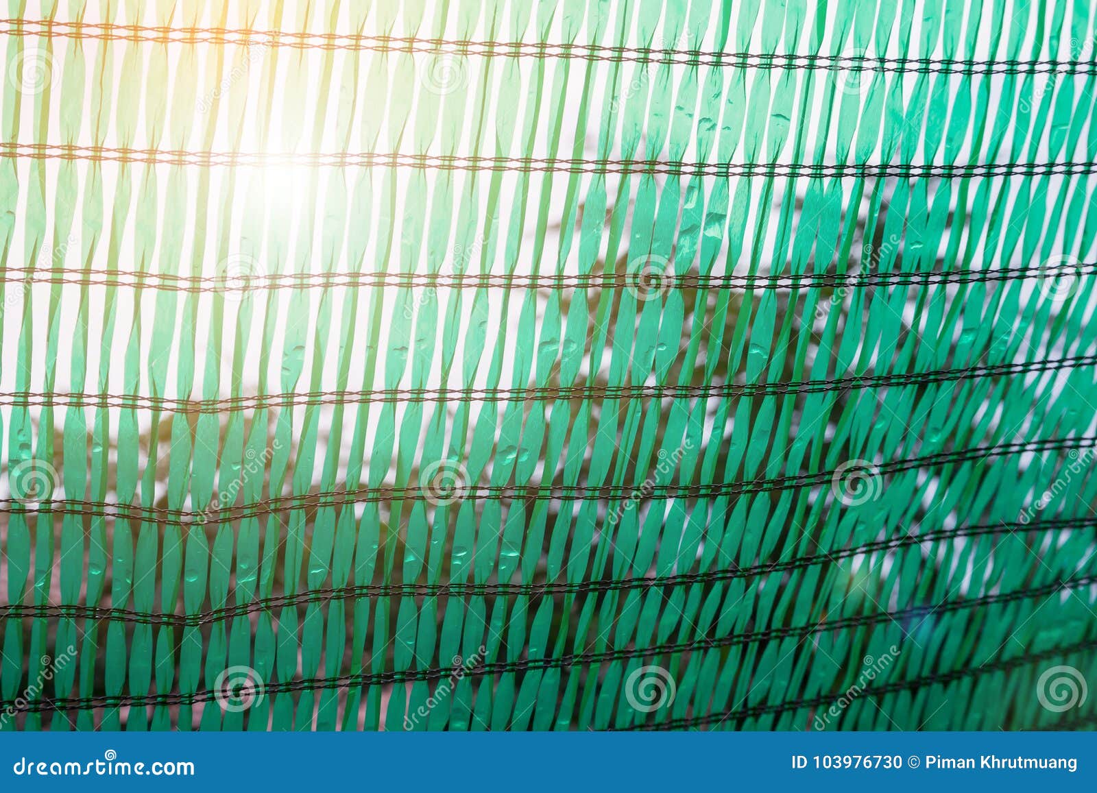 Green Shading Net stock photo. Image of protect, shading - 103976730
