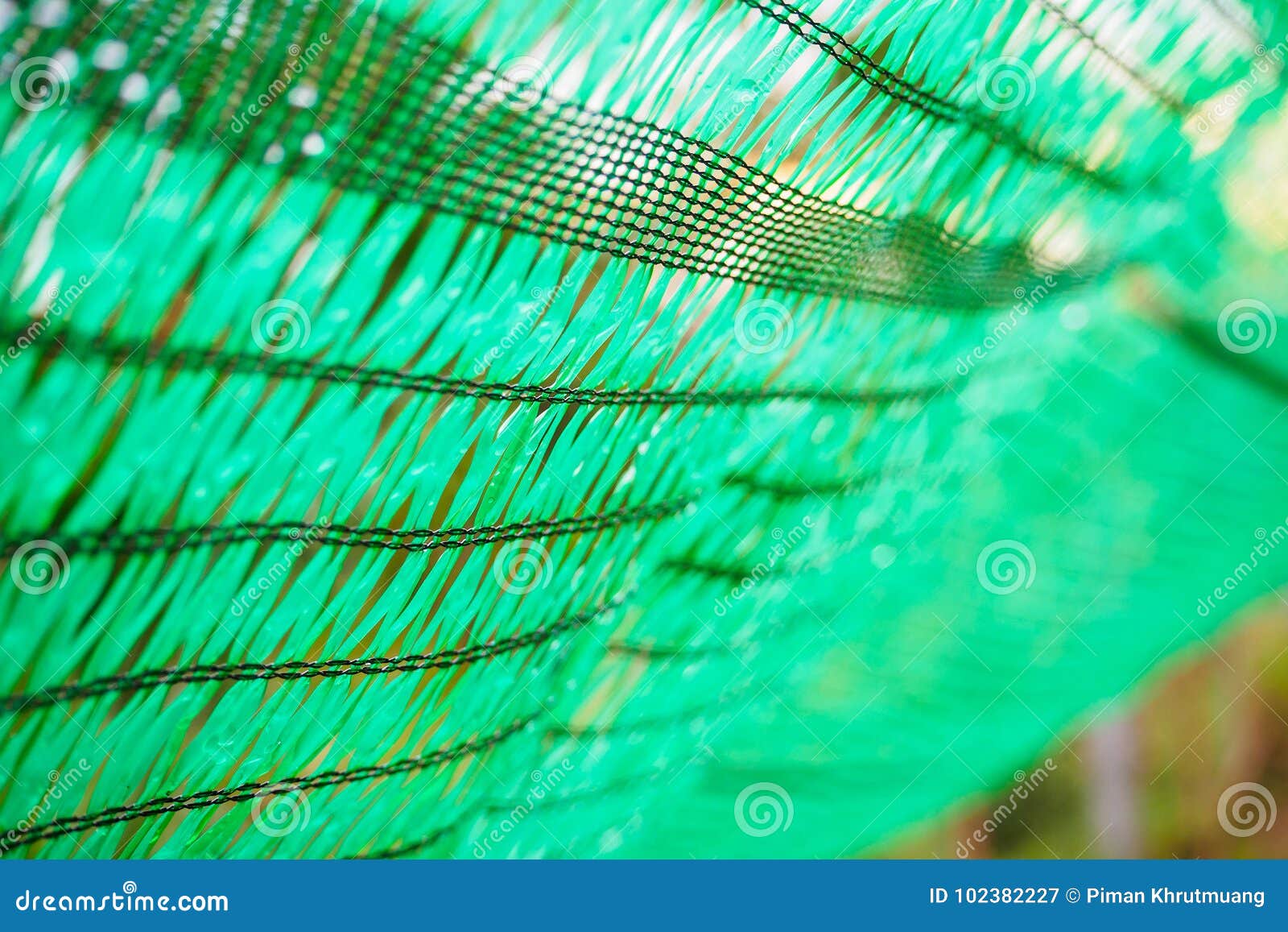Green Shading Net Protect Sun Light Stock Image - Image of shadow ...