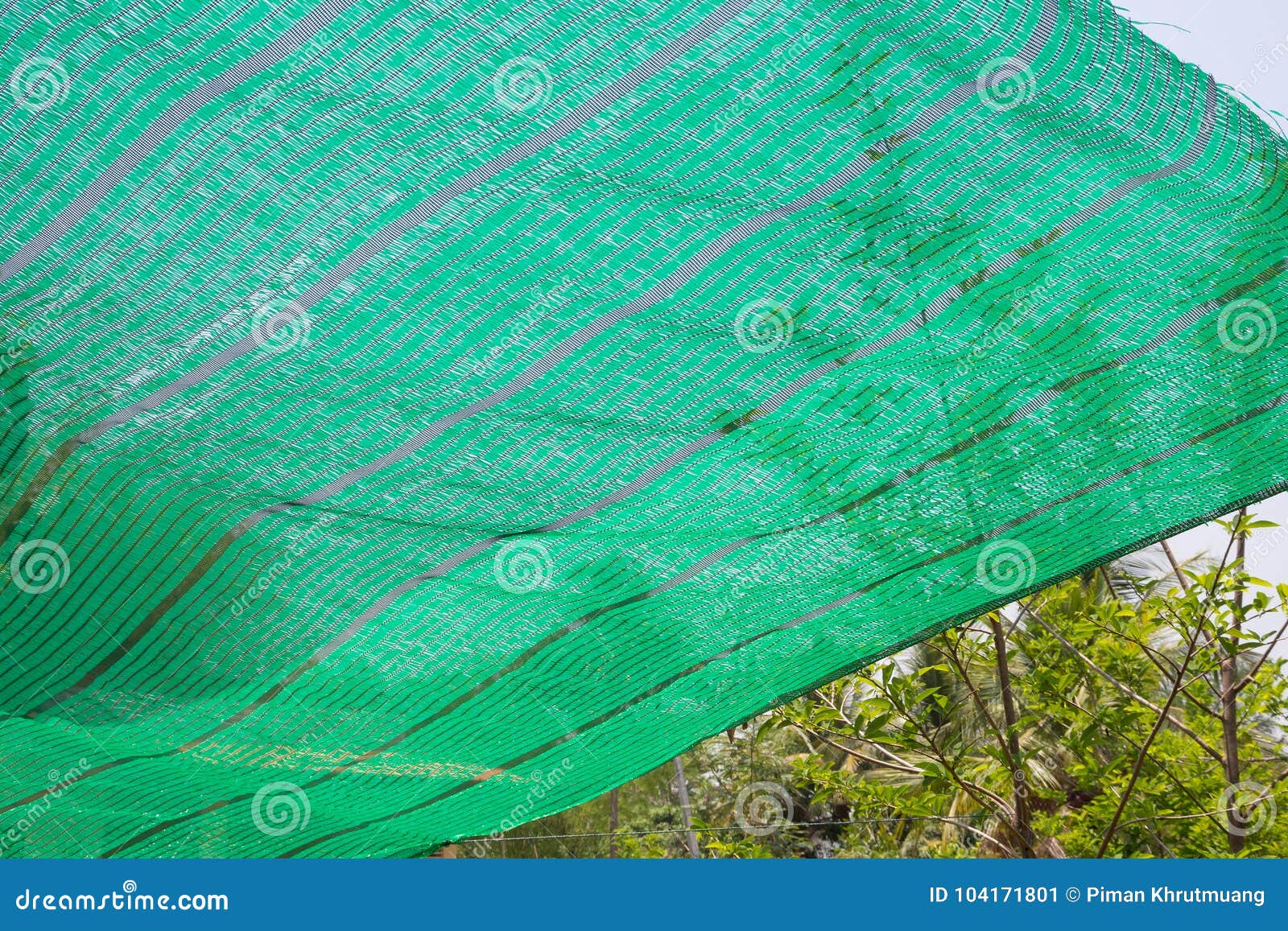 Green Shading Net stock image. Image of shadow, plastic - 104171801
