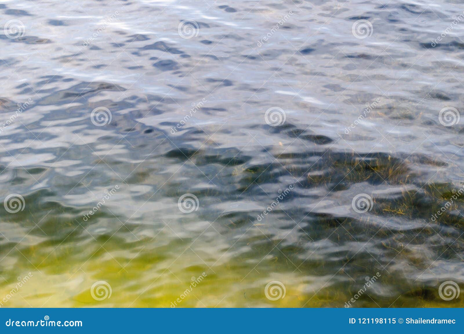 Green Shallow Sea Water Background Texture Stock Photography ...
