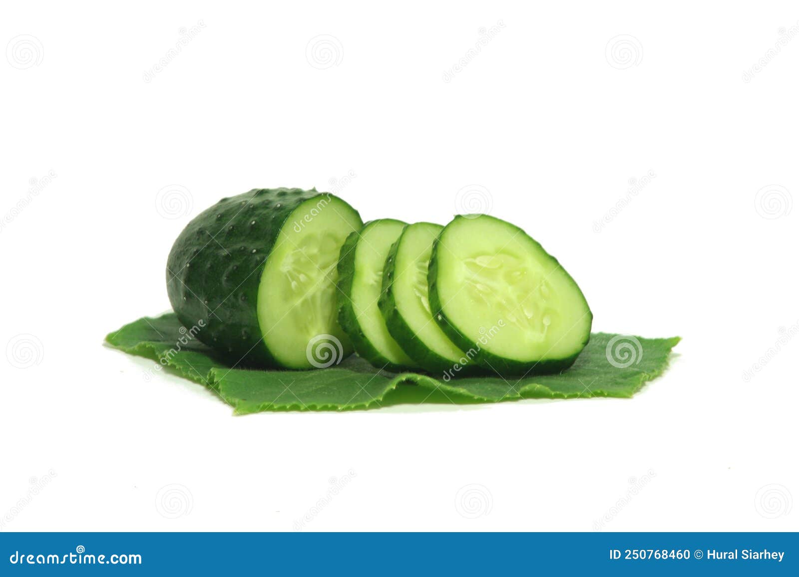 1 Green sheet and cucumber stock photo. Image of ripe - 250768460