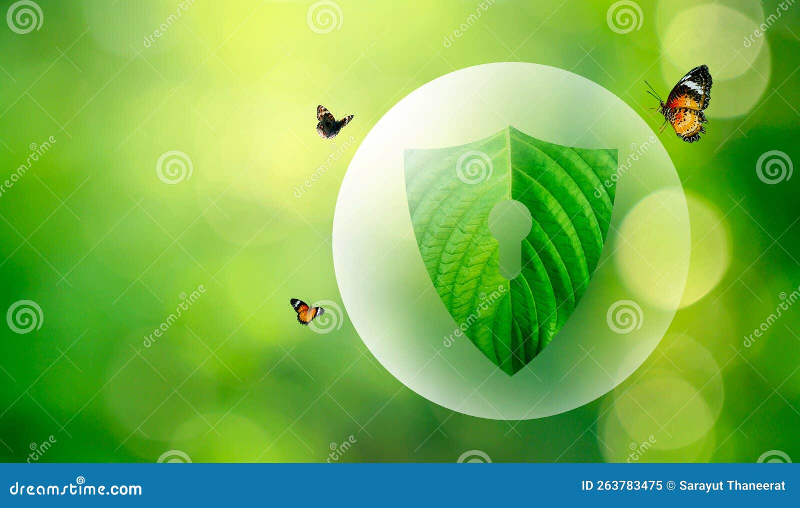 The Green Shield Protects Nature and Protects the Environment Stock ...