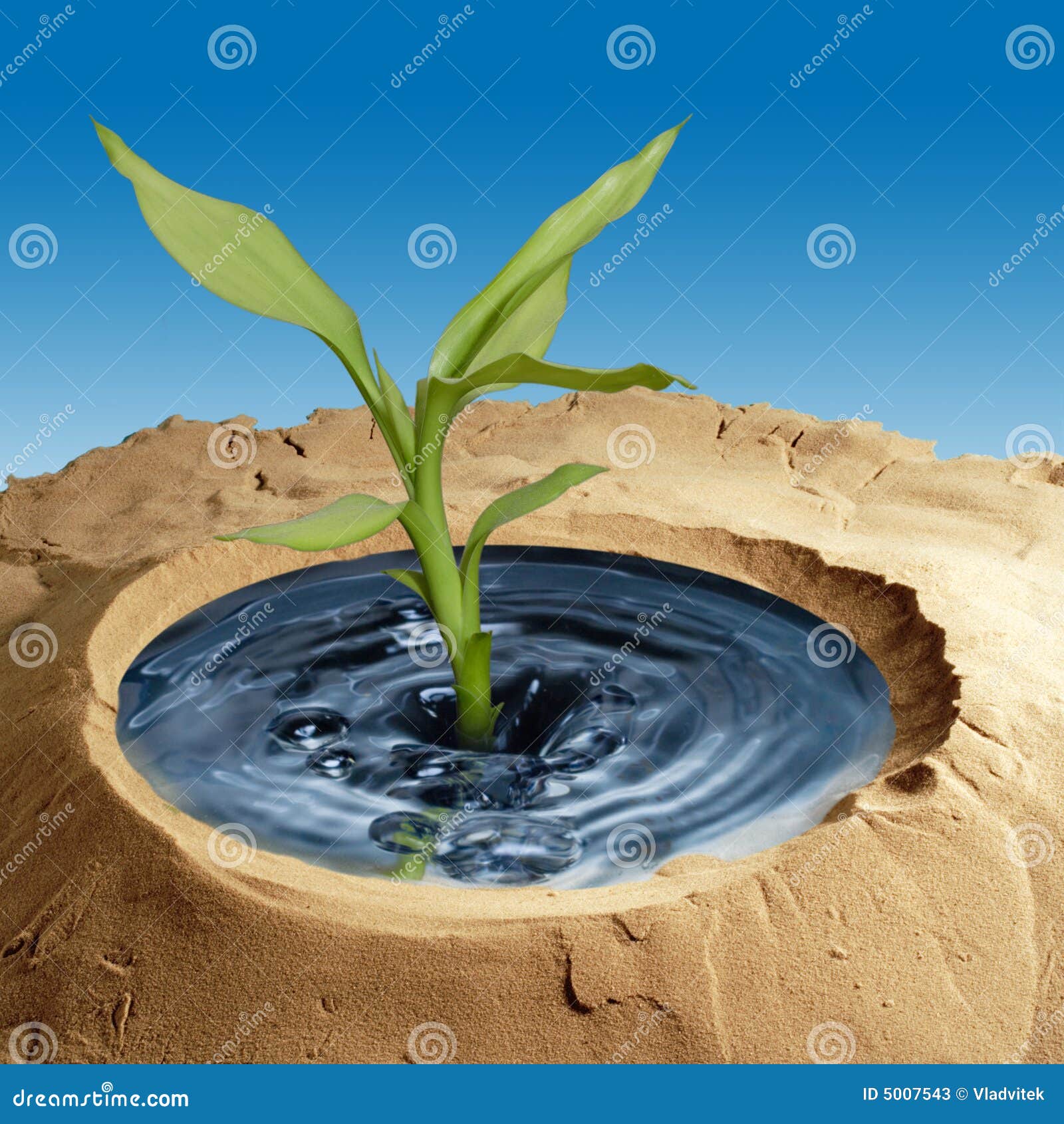 Green shoot stock image. Image of nature, environmentalism - 5007543