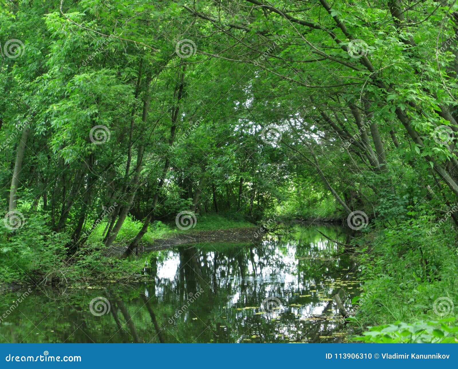 Green Shores of a Small River Stock Photo - Image of summer, hillside ...