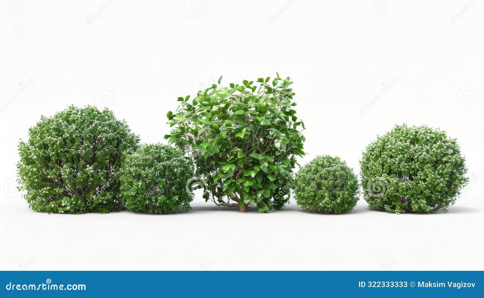 Green Shrubs and Bushes Isolated on White Background, Generative AI ...