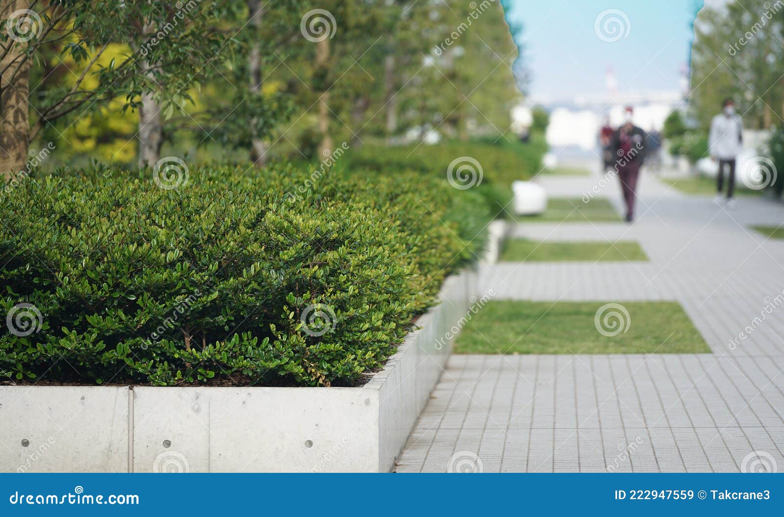 Sidewalk stock image. Image of outdoor, green, sidewalk - 222947559