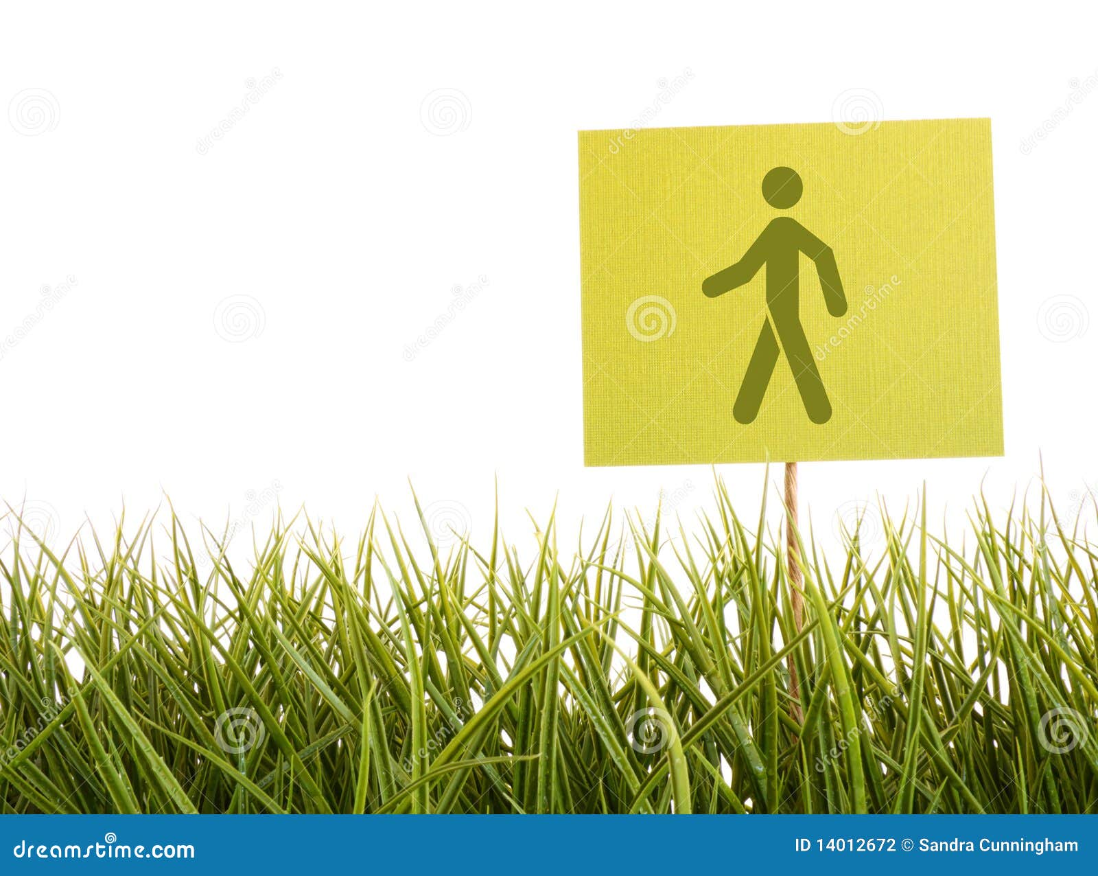 Green sign in the grass stock photo. Image of cover, yellow - 14012672