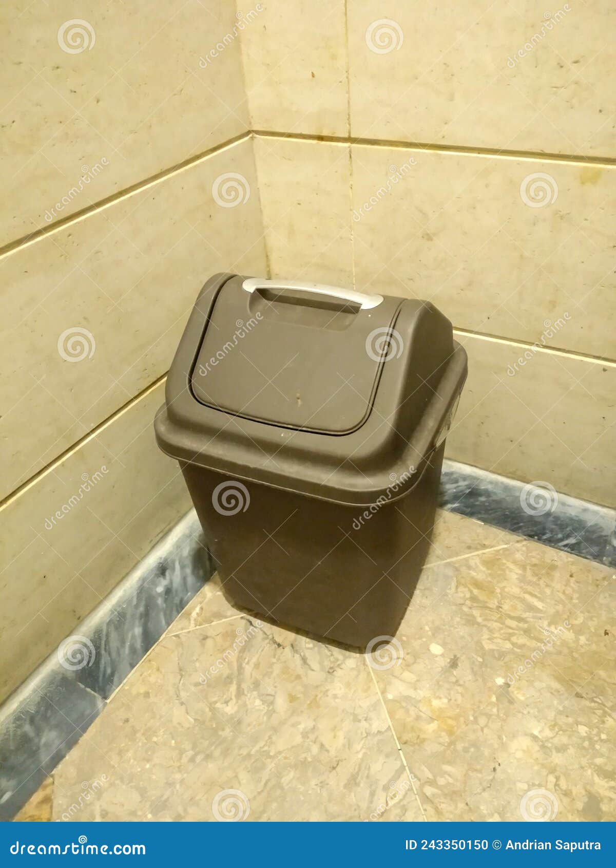 Green Single Plastic Trash Box or Rubbish Container in a Bathroom Stock ...