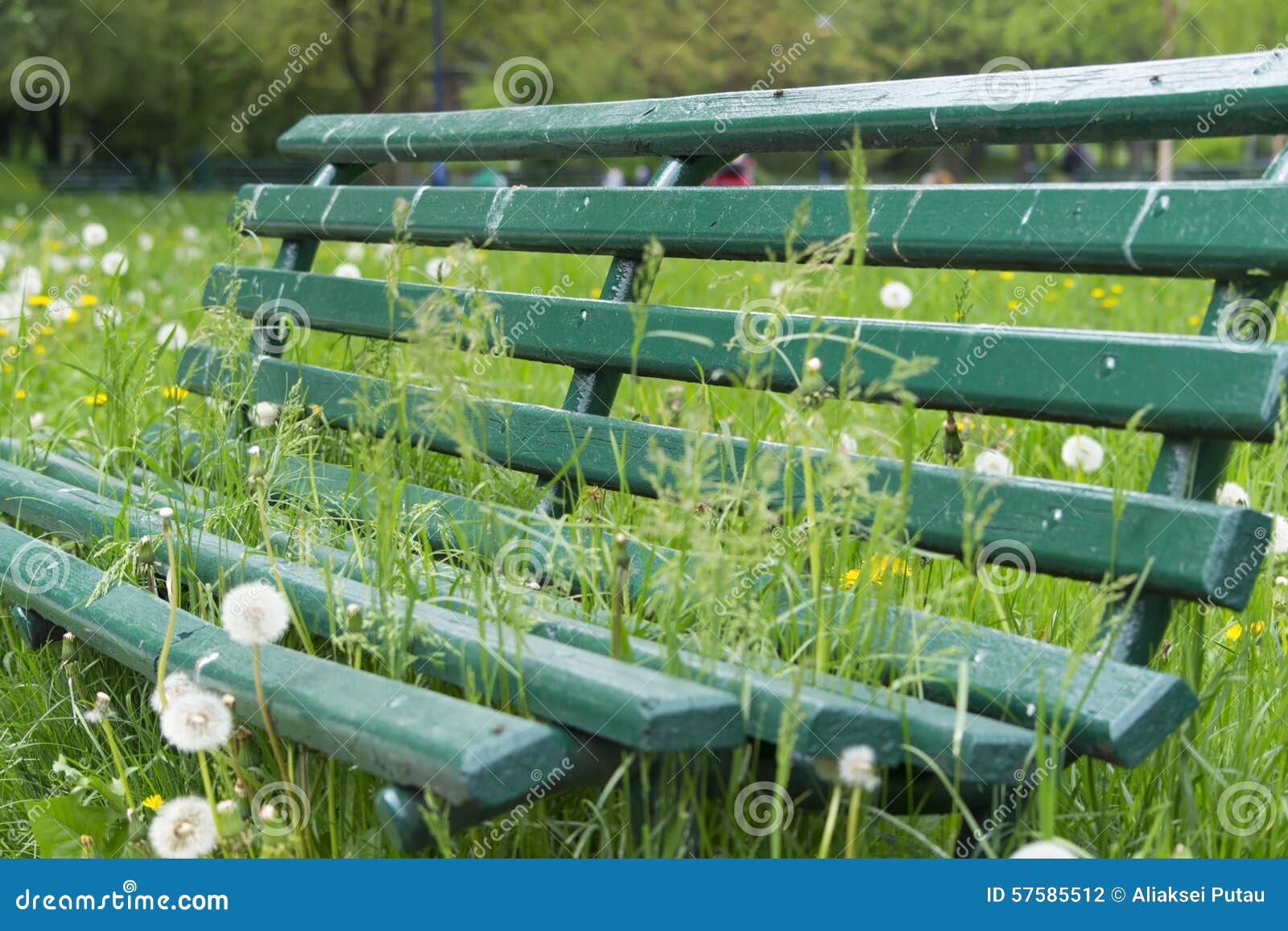 Green sitting bank in park stock photo. Image of relax - 57585512