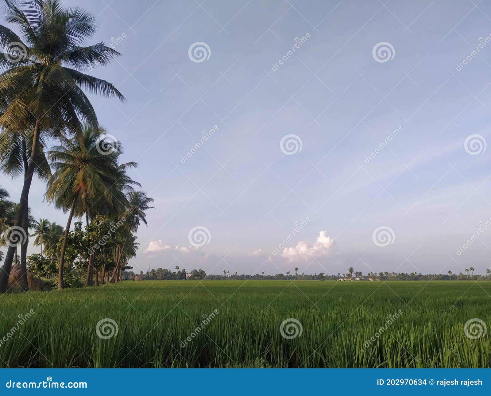 Farmar India Stock Photos - Free & Royalty-Free Stock Photos from ...