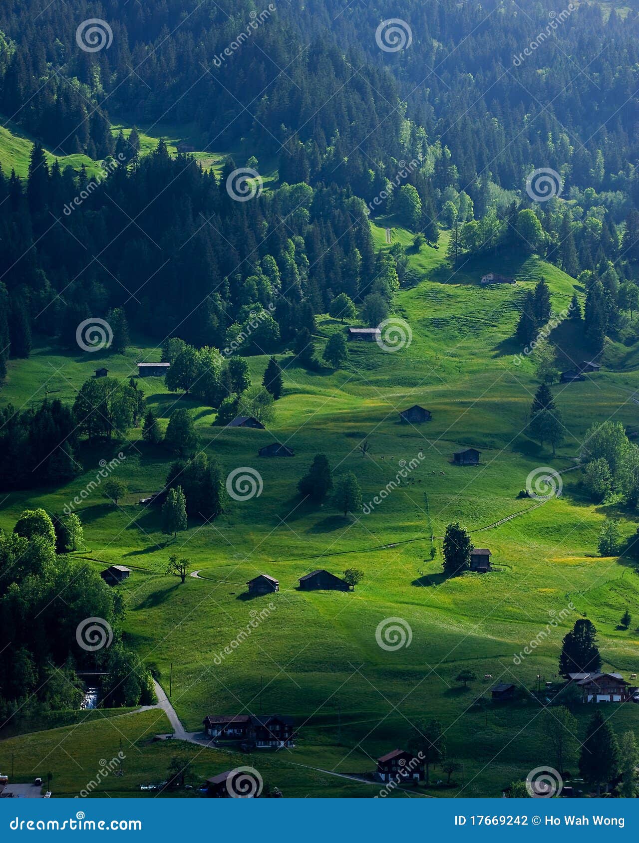 A Green Slope stock photo. Image of attraction, scenic - 17669242