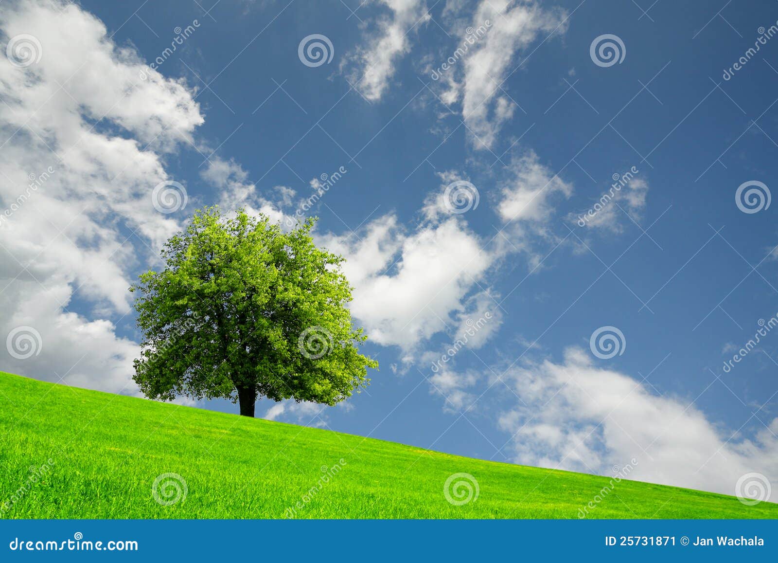 Green Slope stock image. Image of bright, agriculture - 25731871