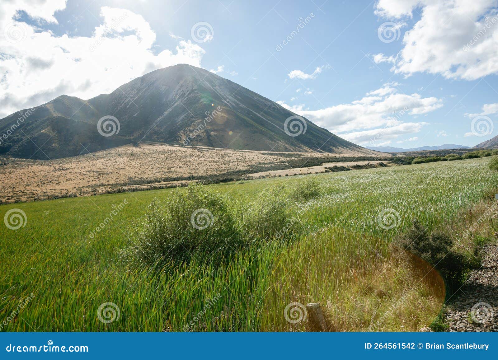 Green Sloping Field with Conical Hill and Sun-flare Stock Photo - Image ...