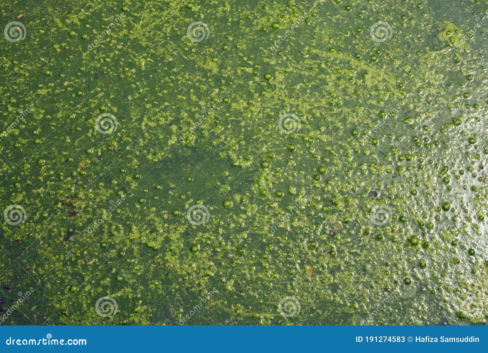 Green Sludge. Decorative Background Design Stock Image - Image of ...
