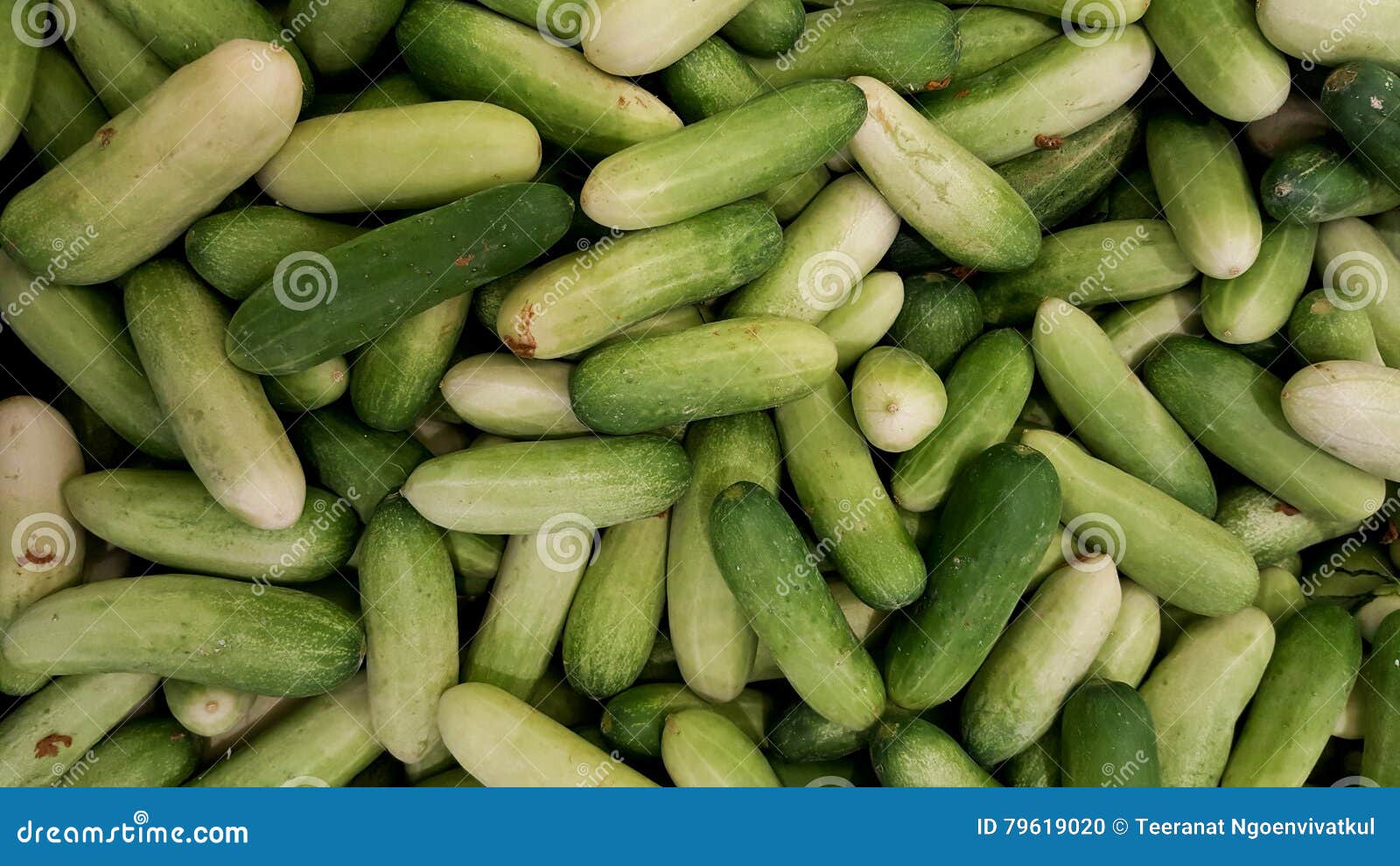 Green Small Cucumbers in Fresh Market Stock Photo - Image of juicy ...