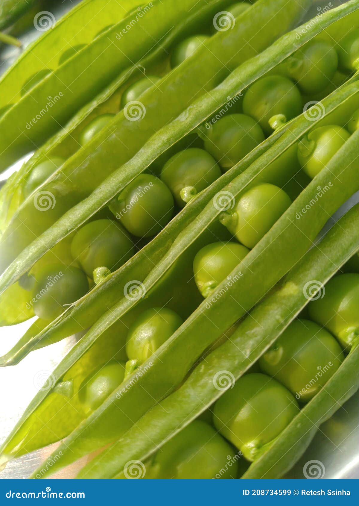 Green Small Peas in the Shell Stock Image - Image of dish, vegetable ...