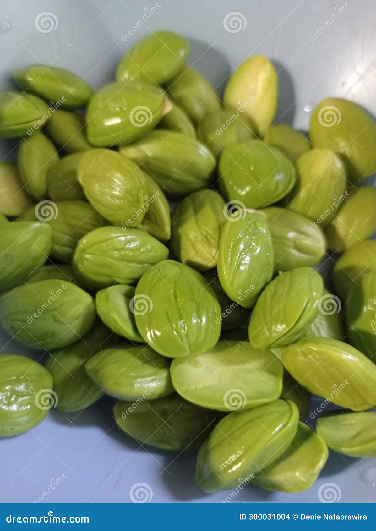 Green Smelly Beans stock photo. Image of smelly, green - 300031004