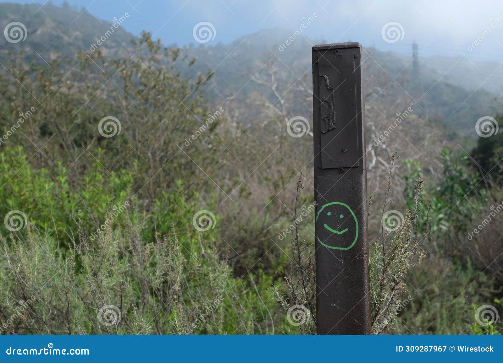 Green Smiley Face on Metal Pole in Hillside Stock Image - Image of grin ...