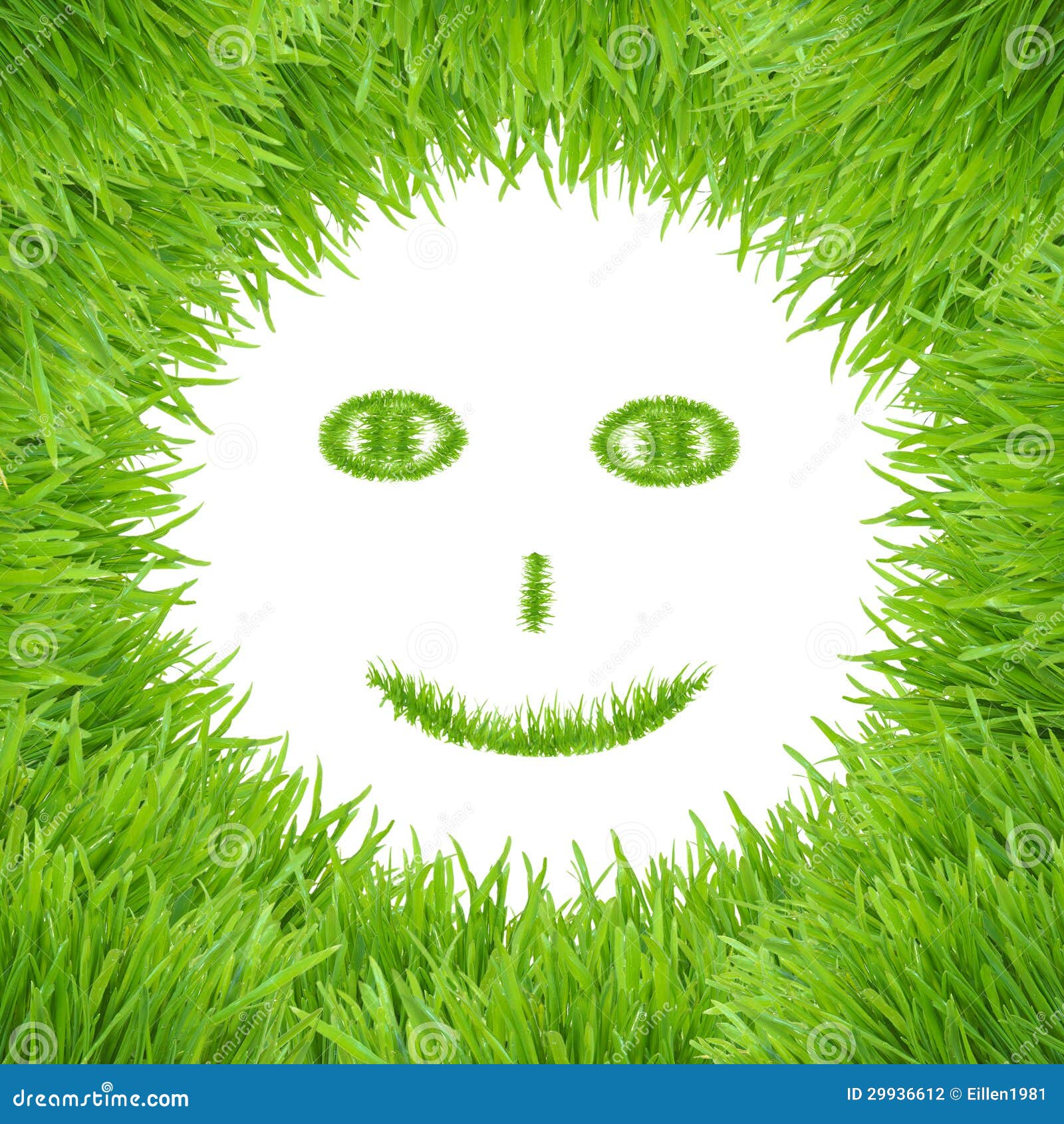 Green Smiley Eco Grass Face Stock Photo - Image of fresh, looking: 29936612