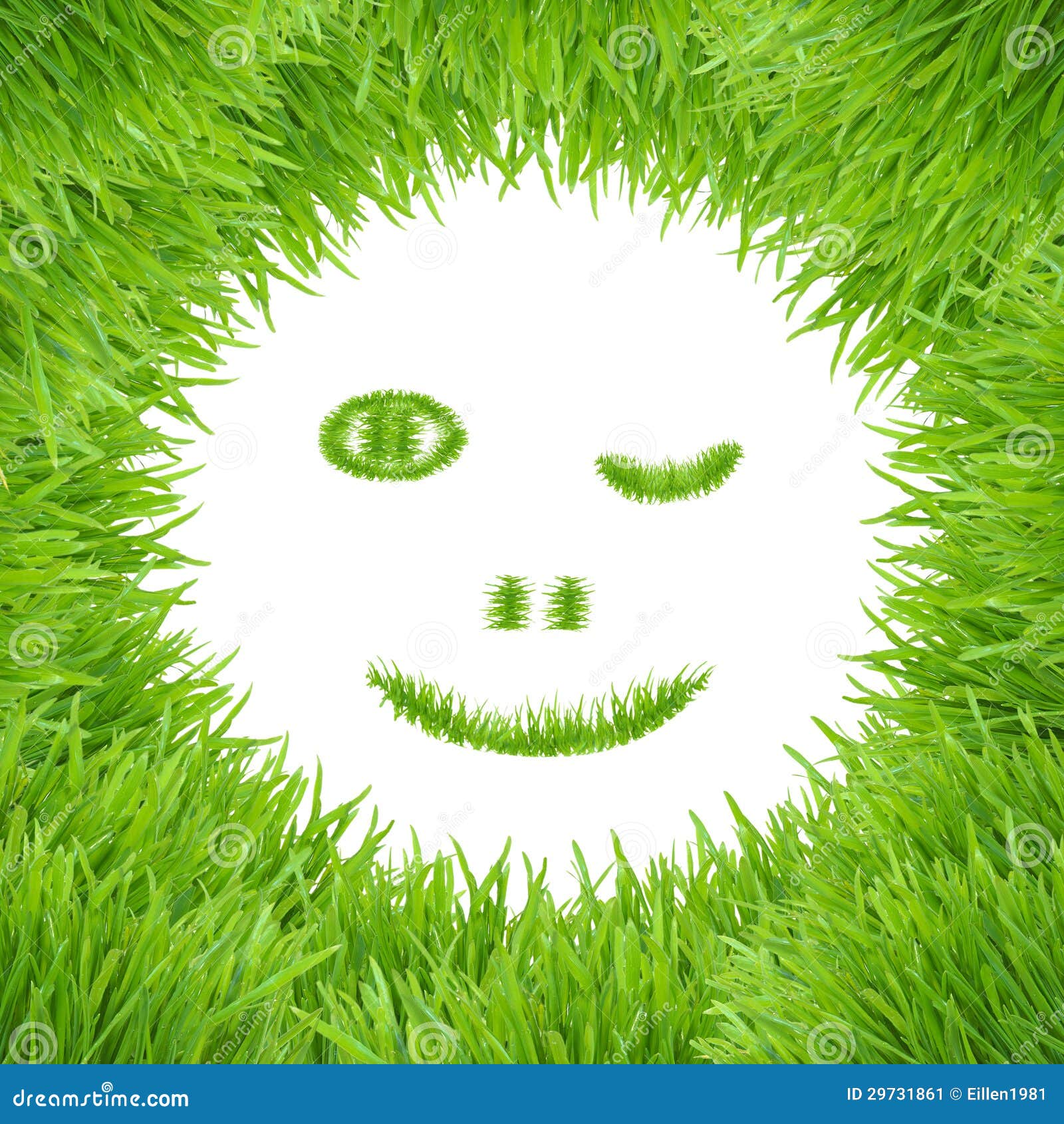 Green Smiley Eco Grass Face Stock Image - Image of healthy, fresh: 29731861