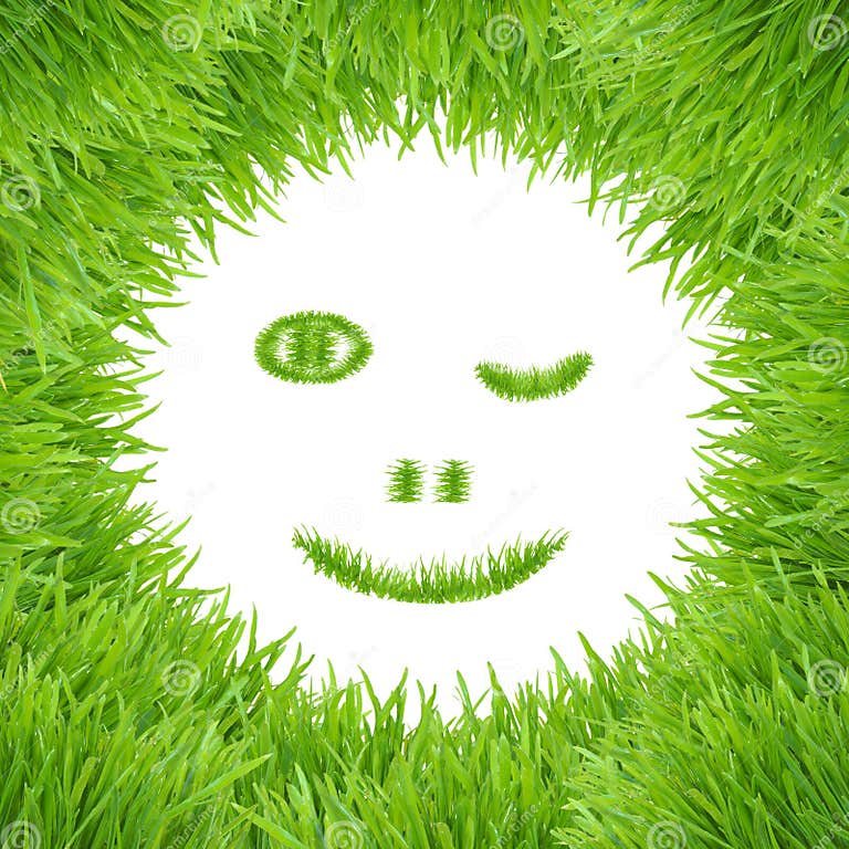 Green Smiley Eco Grass Face Stock Image - Image of healthy, fresh: 29731861