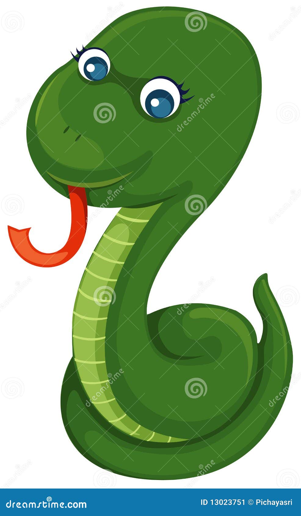 Green Snake And Outline - Cartoon Illustration | CartoonDealer.com ...