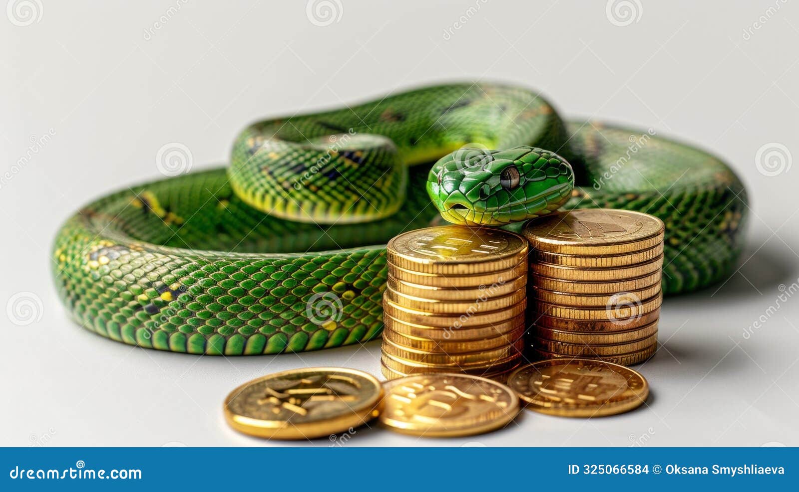Green Snake Coiled Around Stacks of Gold Coins on White Background ...