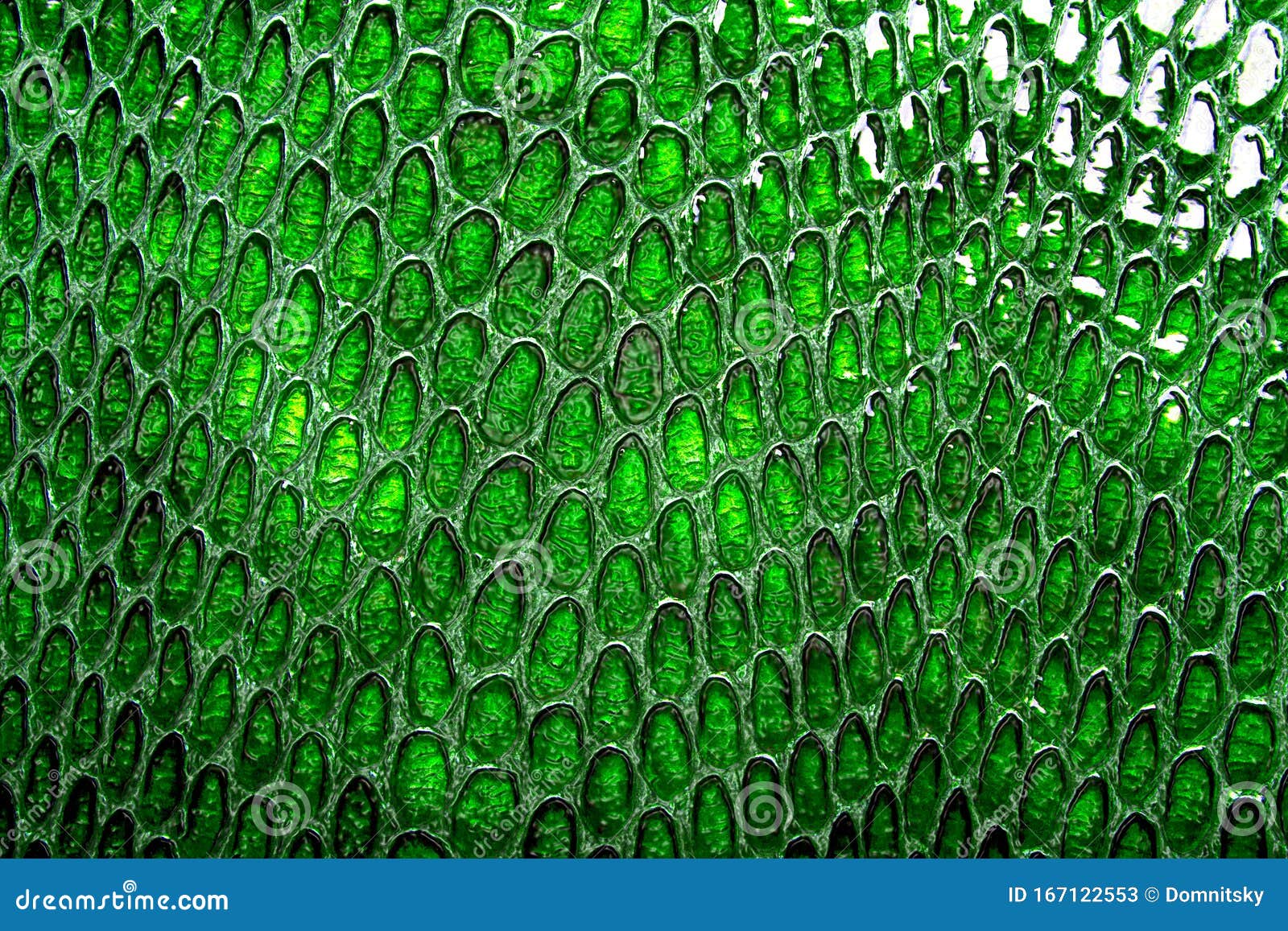Green Snake Skin Background Stock Image - Image of pattern, rough ...