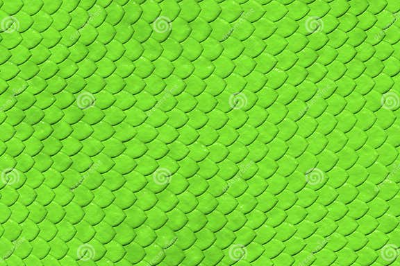 Green Snake skin pattern stock photo. Image of design - 12266002