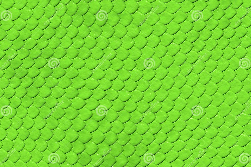 Green Snake skin pattern stock photo. Image of design - 12266002