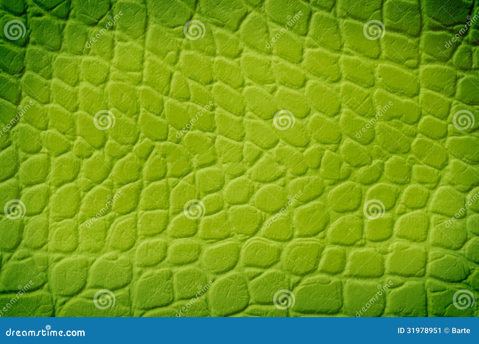 Green snake texture stock image. Image of animal, wild - 31978951