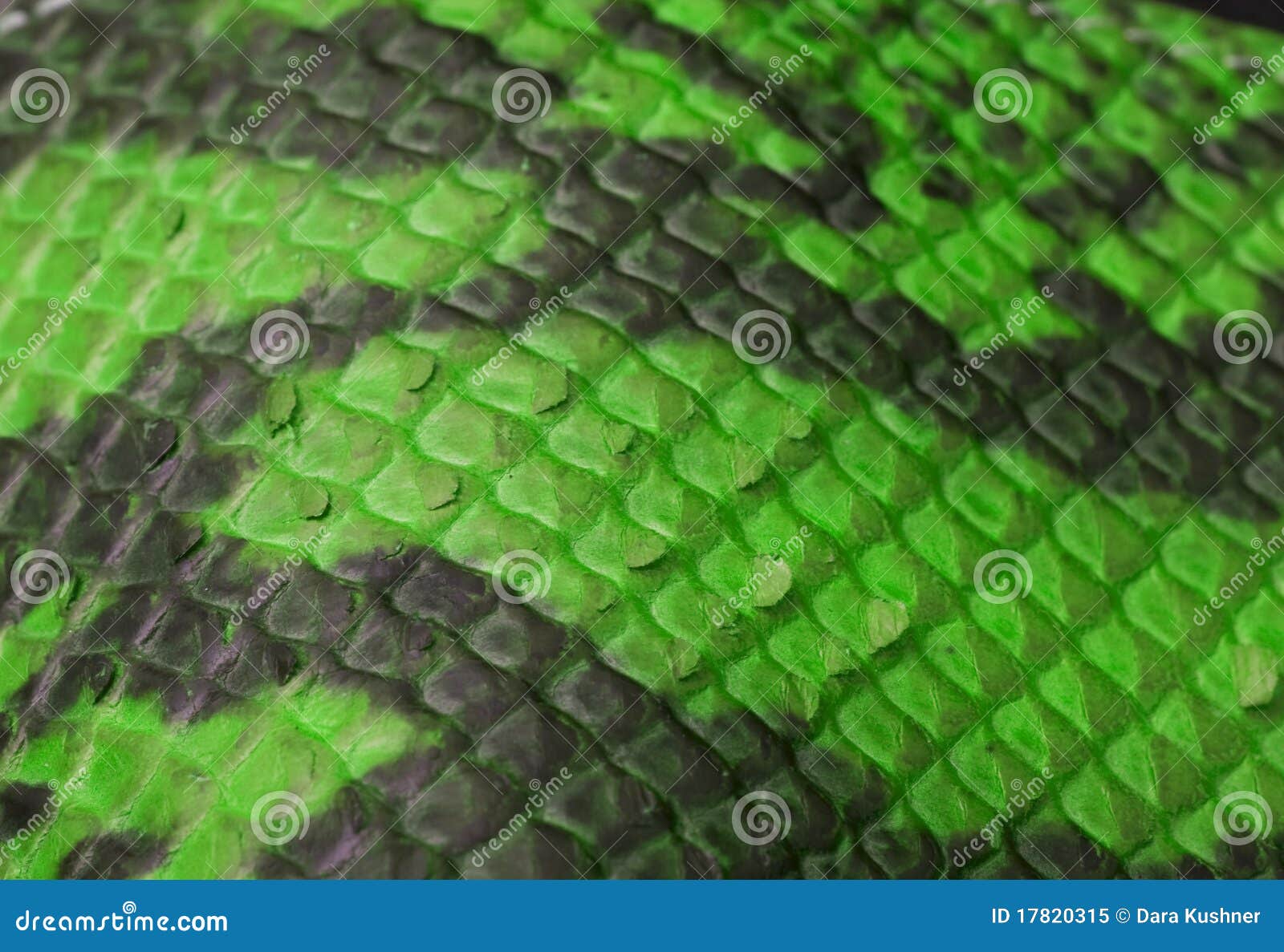 Green Snakeskin stock image. Image of textile, texture - 17820315